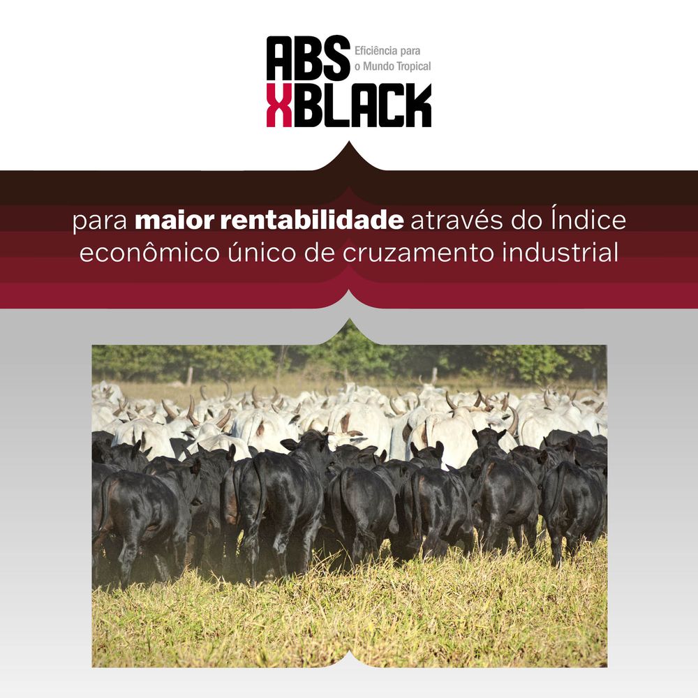 SUPER DOSE PLATINUM - lojaabsbrasil